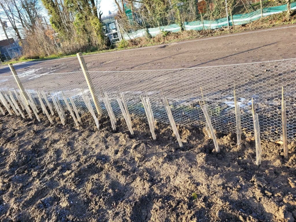 Latest News - King and Co the Tree Nursery