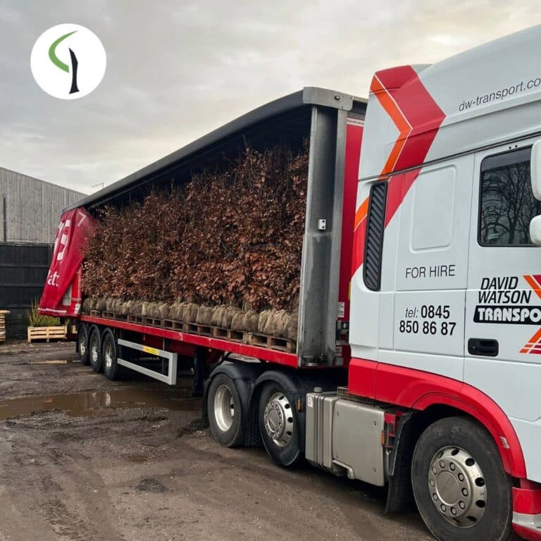 Latest News - King and Co the Tree Nursery